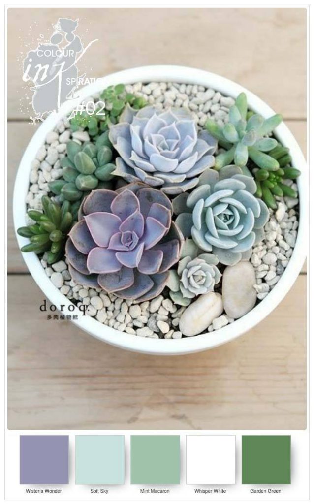 Colour INKspiration Blog Hop – CI02 – Avant Garden – Jackie Noble