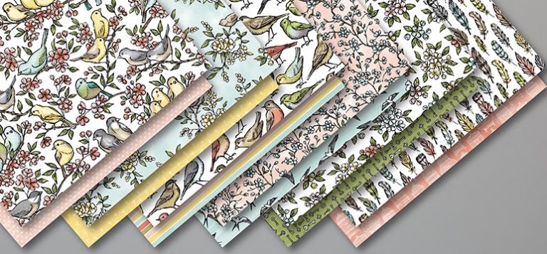 Pretty Cards and Paper – Bird Ballard International Blog Hop – Jackie Noble